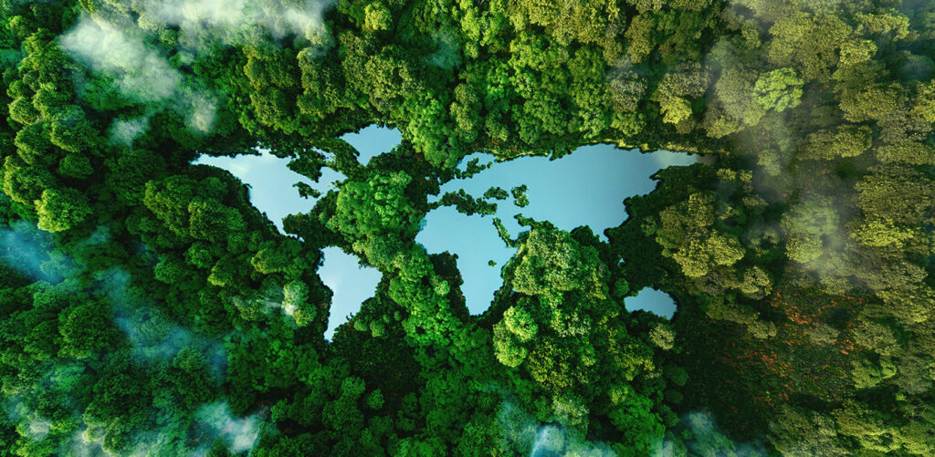 The Environmental Impacts of Paper Business Cards | Qwerty.Cards